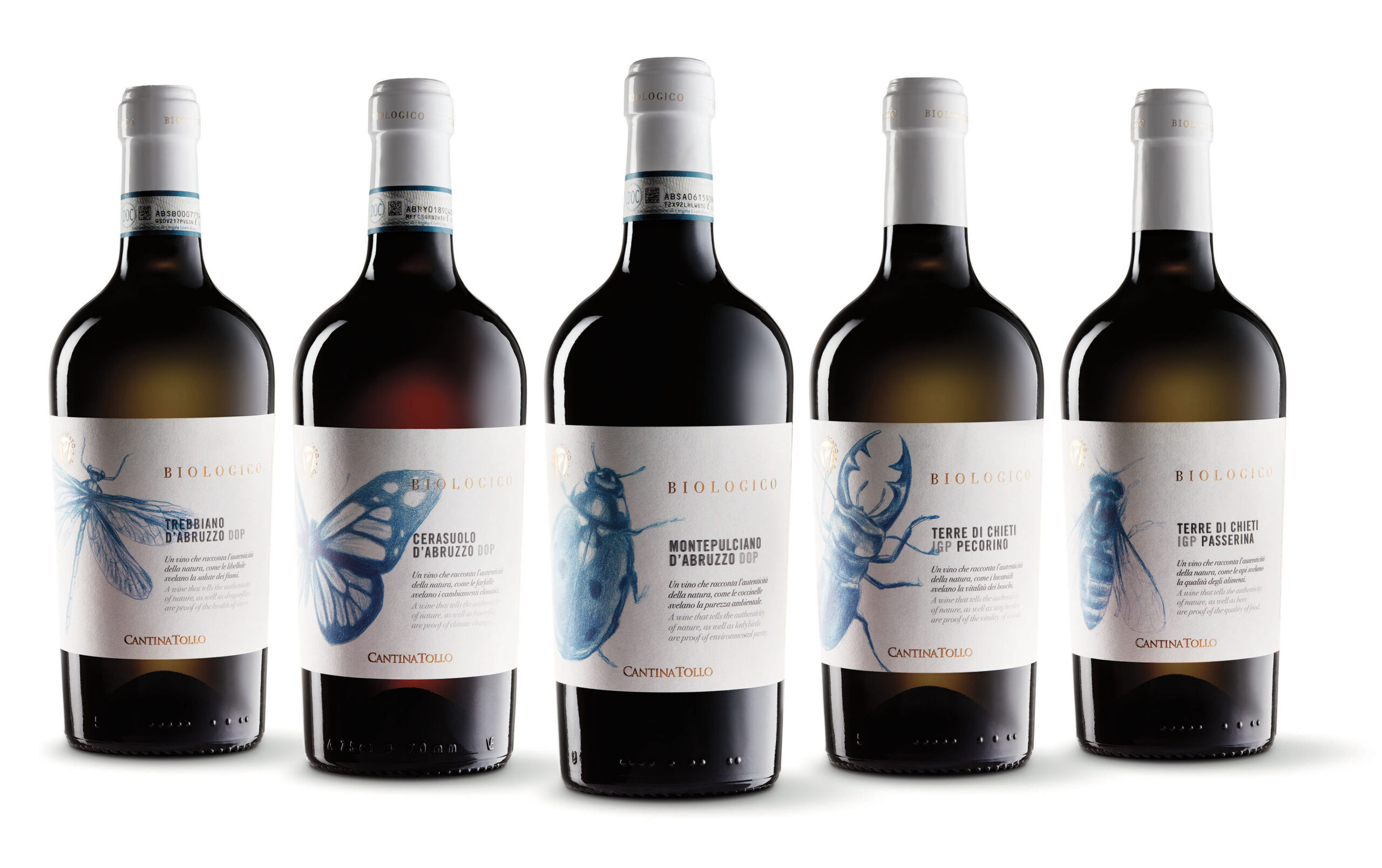 Cantina Tollo releases brand-new line of wine - Cantina Tollo